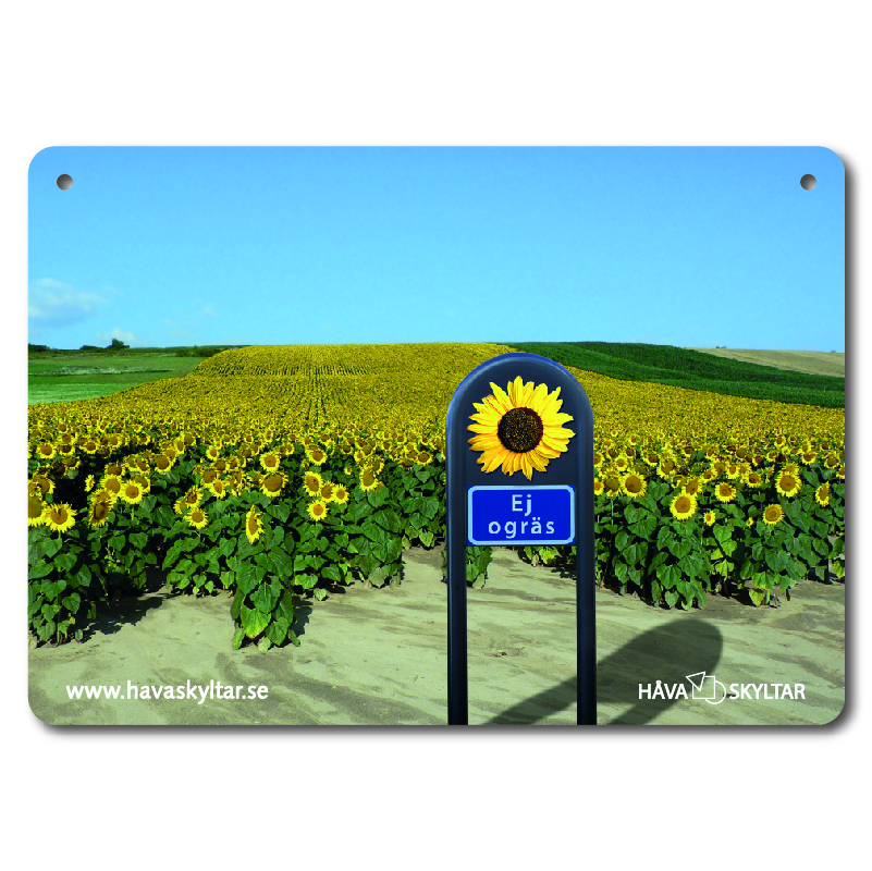Rolig skylt, 120x85mm